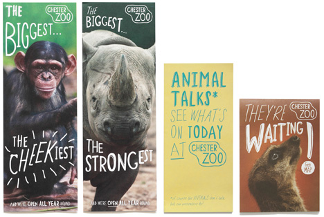 Chester Zoo rolls out hand-drawn Music branding - Design Week