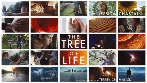 Why why killed what and who - Design Week