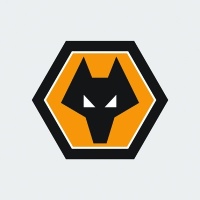 Wolverhampton Wanderers rolls out new branding - Design Week