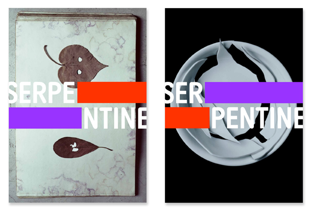 Marina Willer and Brian Boylan create Serpentine Galleries branding ...