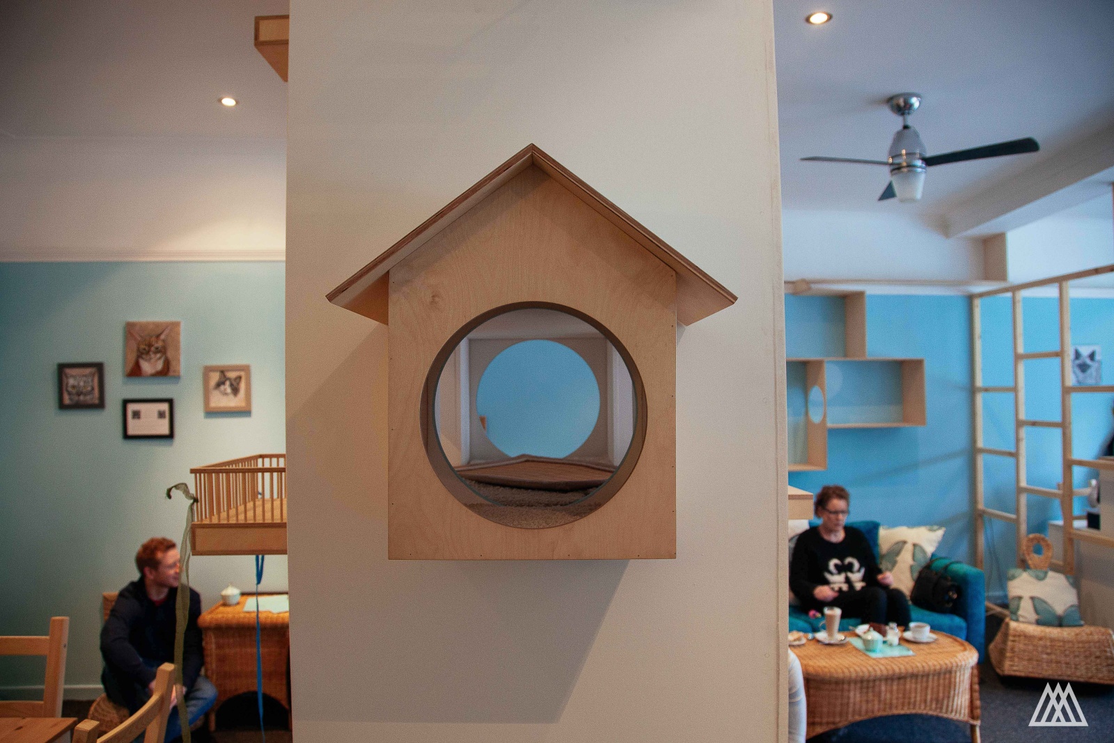 Edinburgh’s first cat café - Design Week