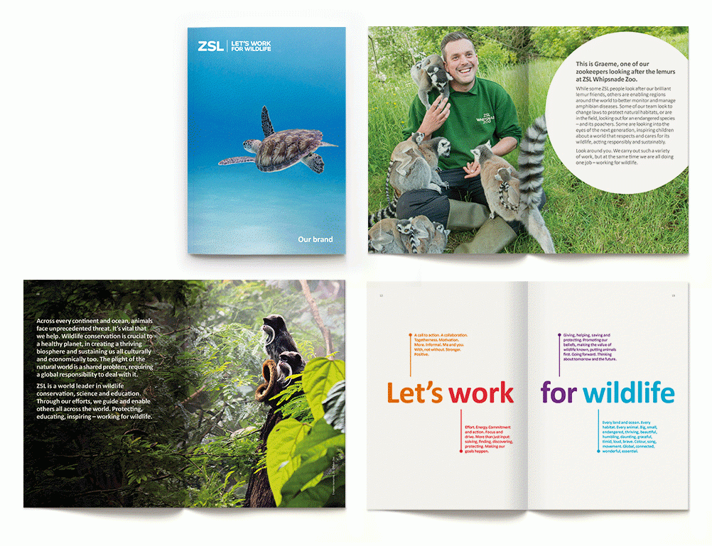 New look for ZSL and “Let’s Work for Wildlife” positioning - Design Week