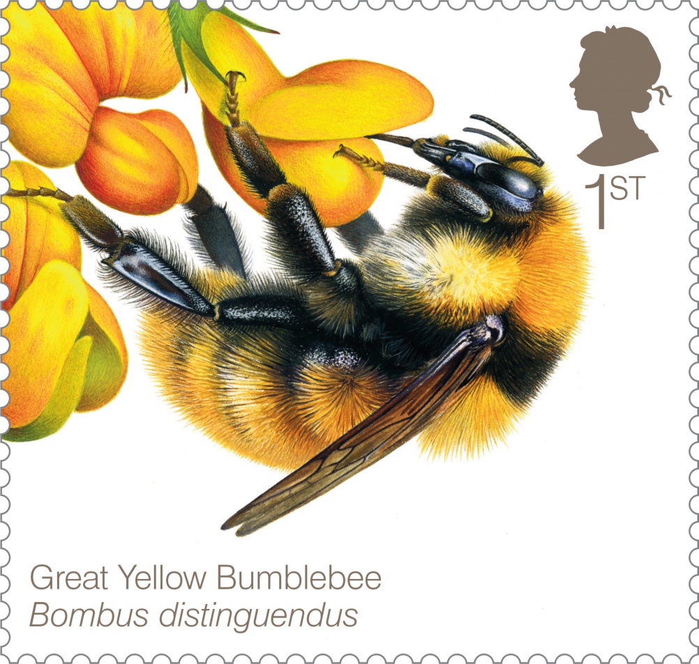 Royal Mail bee stamps designed to raise awareness of species - Design Week