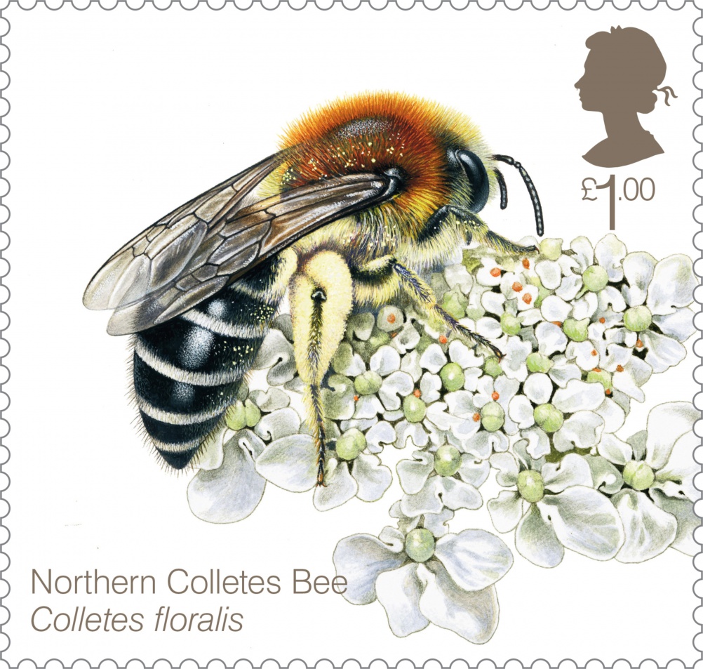 Royal Mail bee stamps designed to raise awareness of species - Design Week