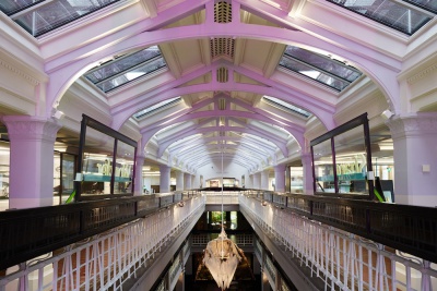 Ben Kelly Design creates new study interiors for Manchester Museum ...