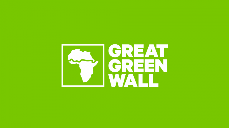 Venturethree helps UN build “Great Green Wall” across Africa - Design Week