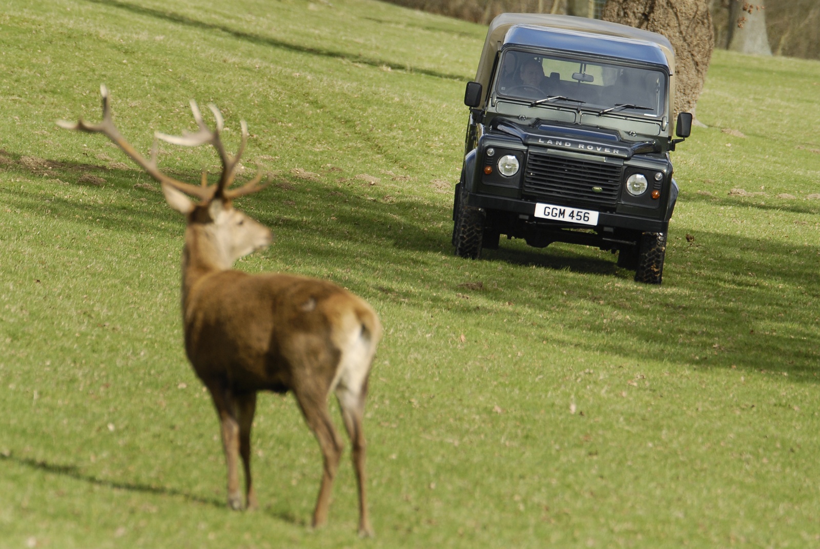 The last Land Rover Defender – celebrating a design classic - Design Week