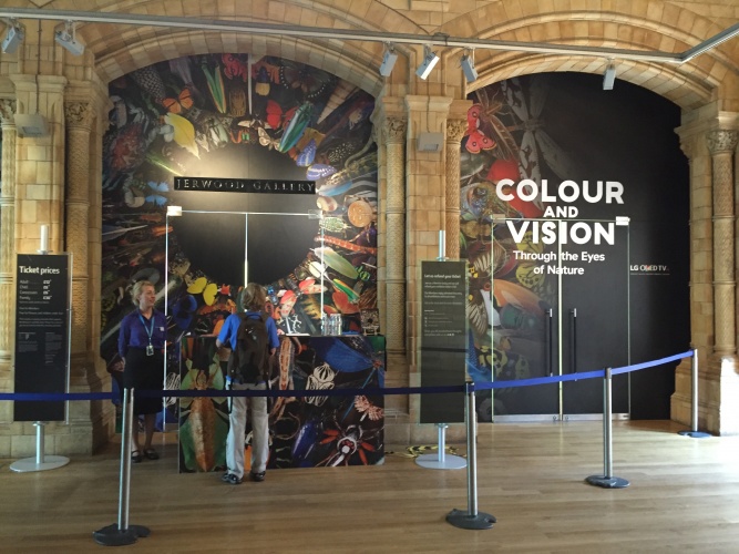 A look at the Natural History Museum’s colourful new exhibition ...