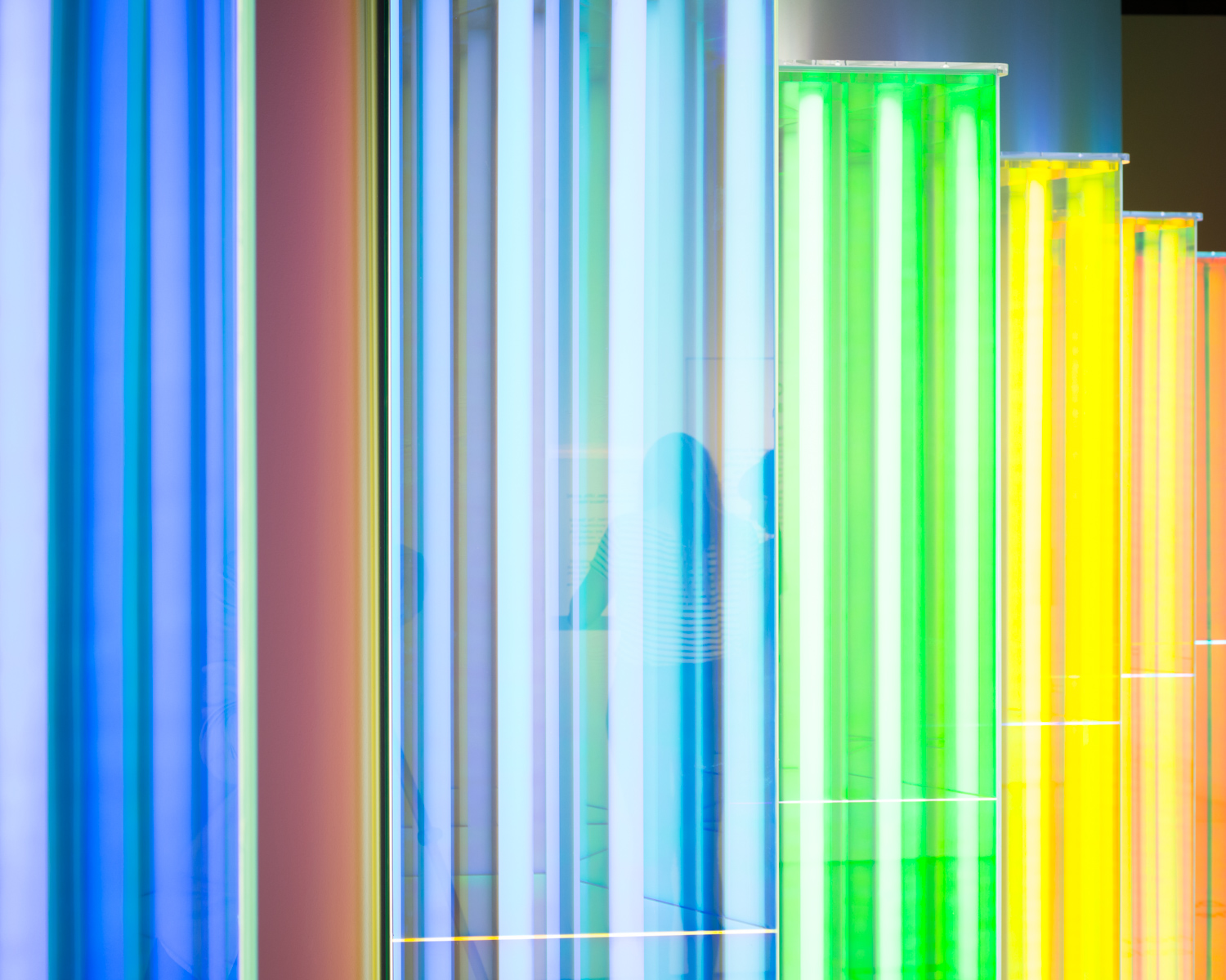 A look at the Natural History Museum’s colourful new exhibition ...