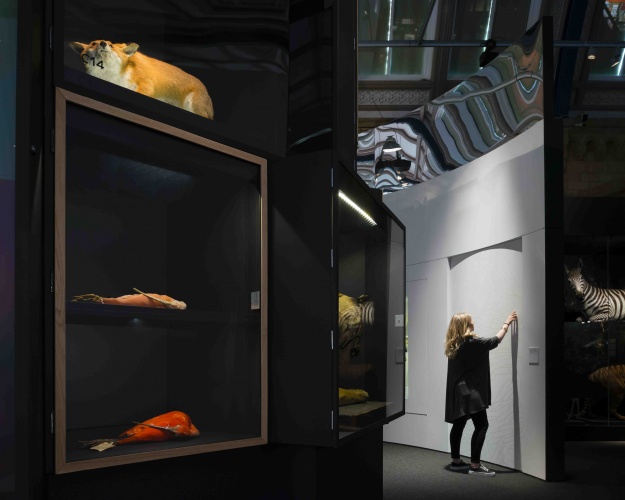 A look at the Natural History Museum’s colourful new exhibition ...