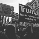 The power of protest art: DIY creations inspired by Donald Trump ...