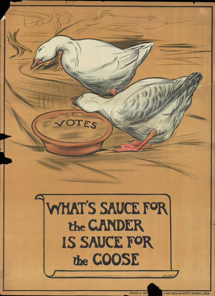 The long-lost suffrage protest posters used to fight for women’s rights ...