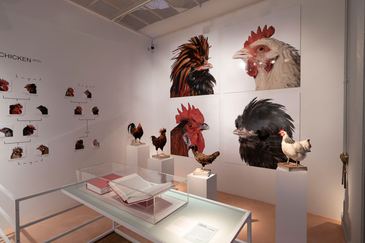 V&A food exhibition challenges our ideas of consumption - Design Week