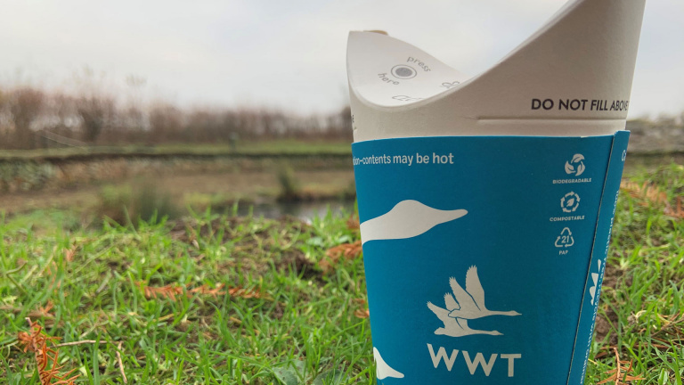 Is this lidless design the future of disposable coffee cups? - Design Week