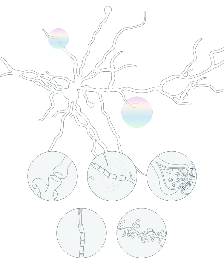 Traditional textbooks have inspired the identity for Elon Musk’s ...