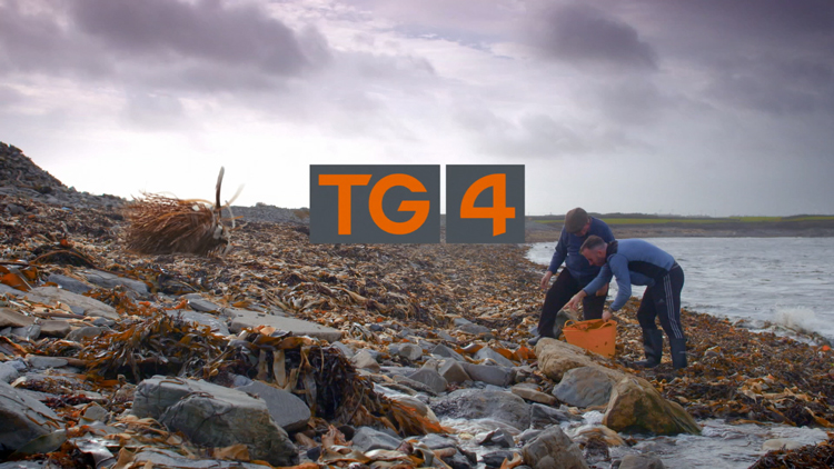 Irish channel TG4 reveals new logo and folklore-inspired idents ...