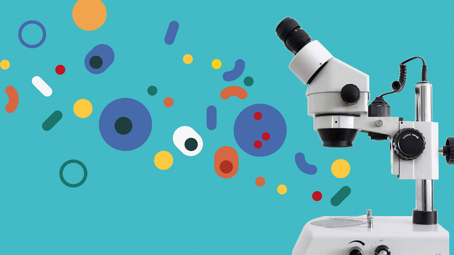 O Street’s gutsy rebrand for the Thackray Museum of Medicine - Design Week