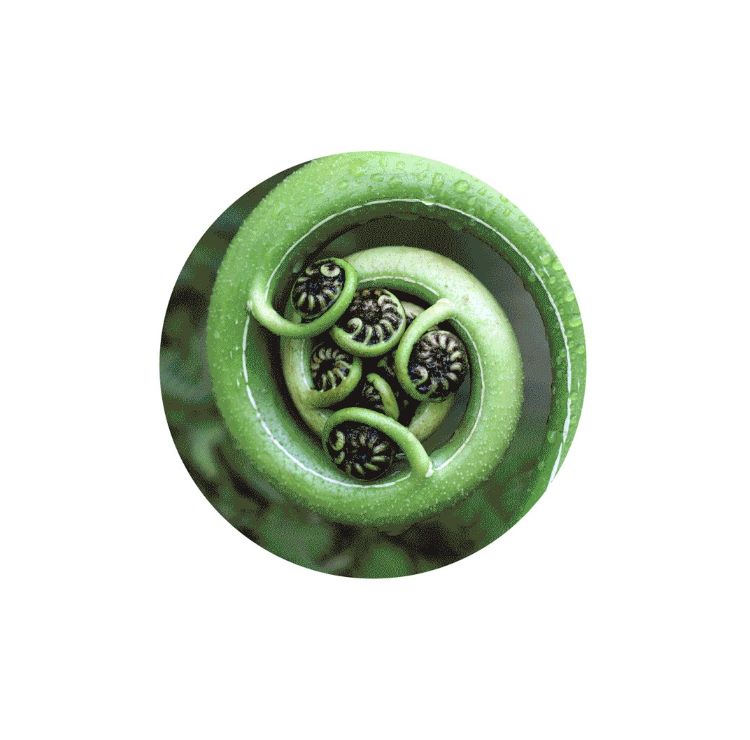 Design Council announces return of Design for Planet festival alongside ...