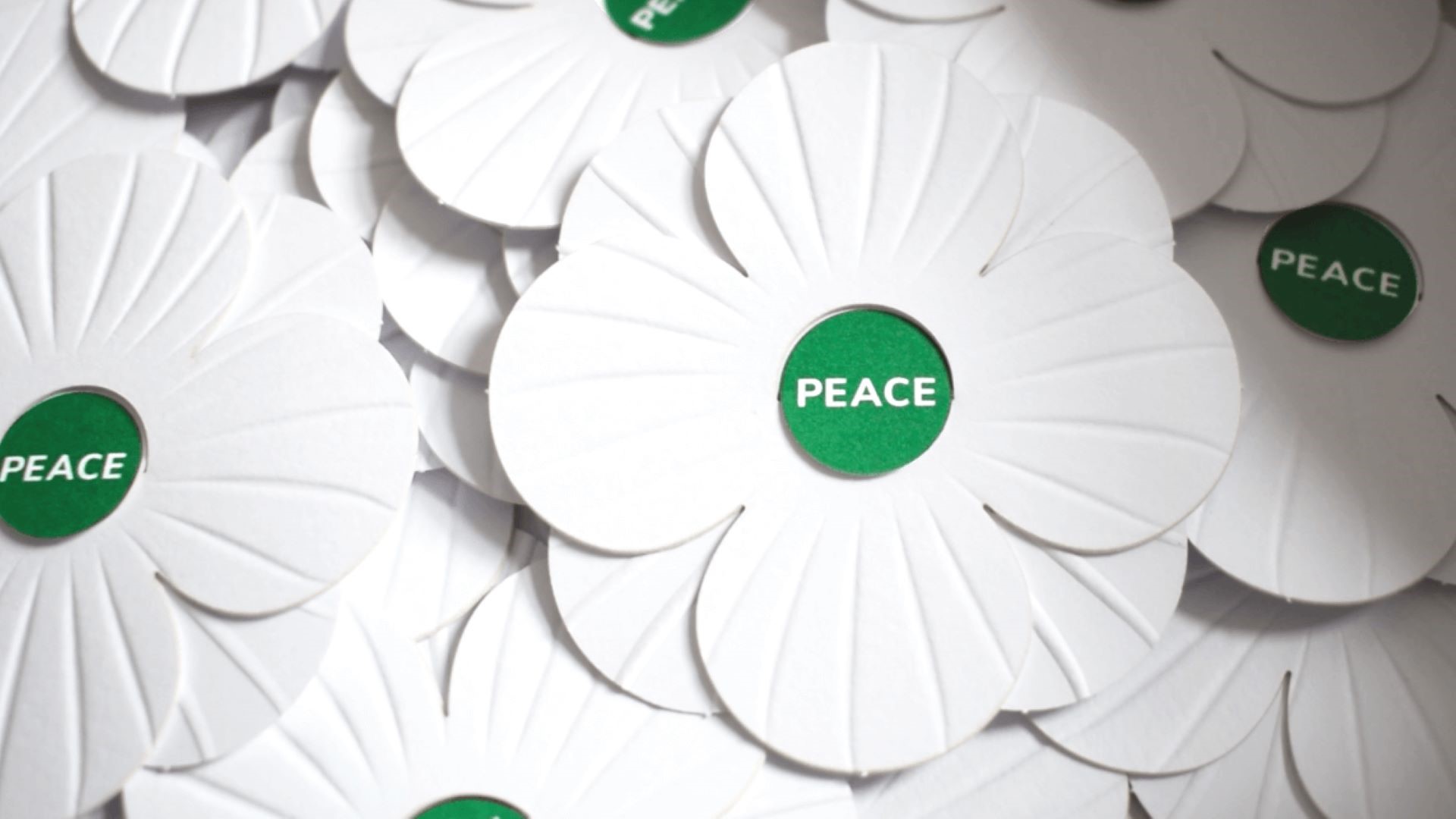 Design co-op Calverts overhauls white remembrance poppy with eco ...