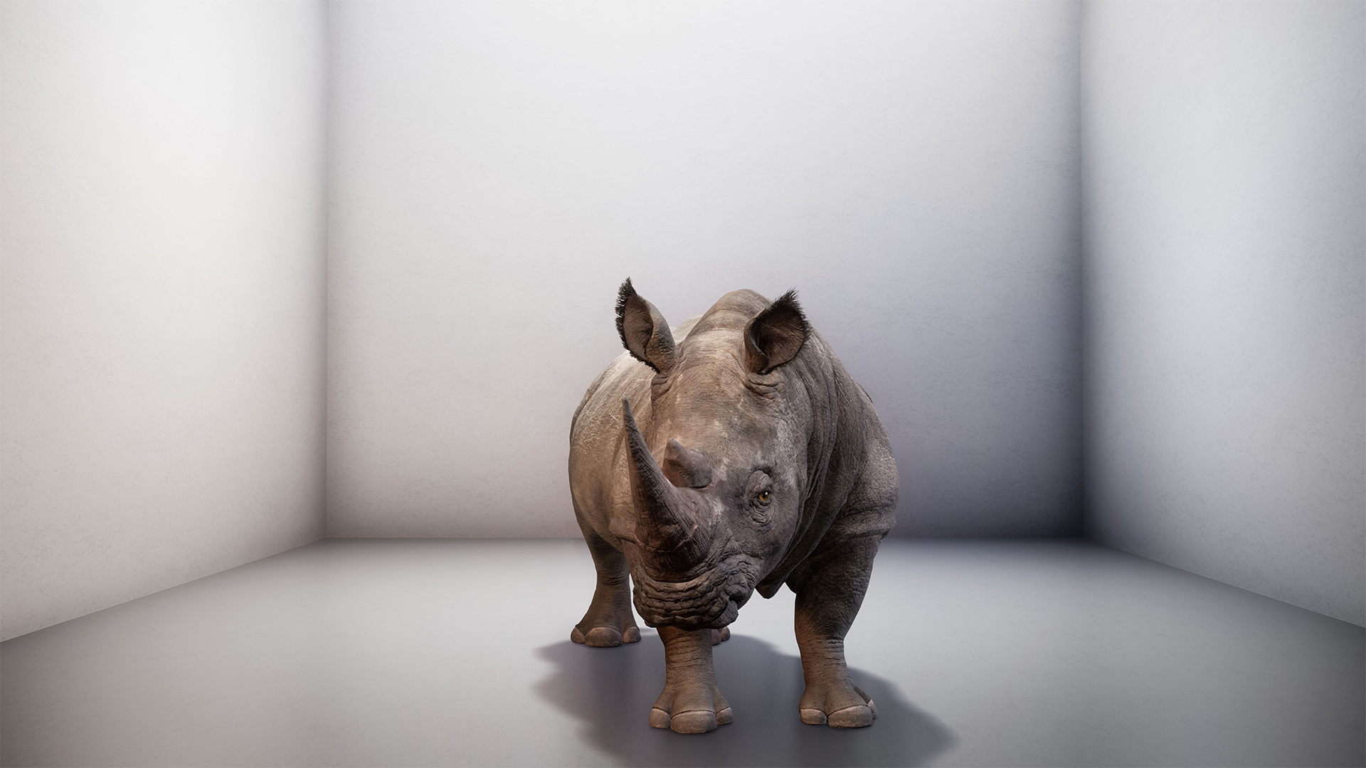 The Lost Rhino exhibition by Alexandra Daisy Ginsberg opens at NHM ...