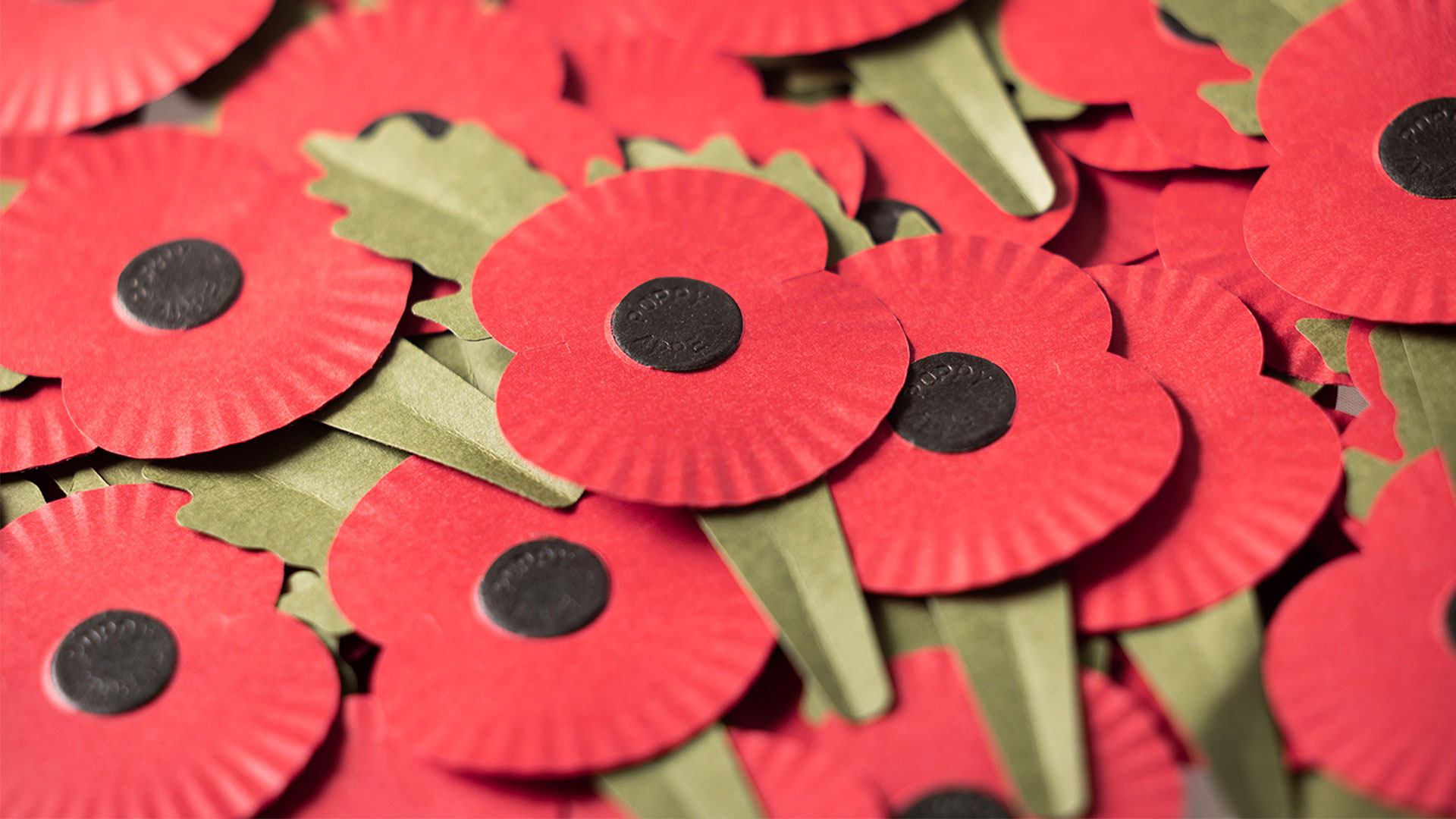 Matter designs new plastic-free poppy for Royal British Legion - Design ...
