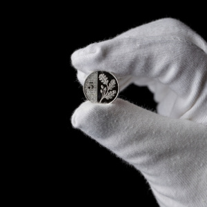 Royal Mint reveals new set of coins inspired by UK flora and fauna ...