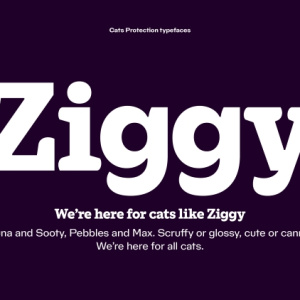 Lukecharles overhauls Cats Protection identity to bring “authority” to ...