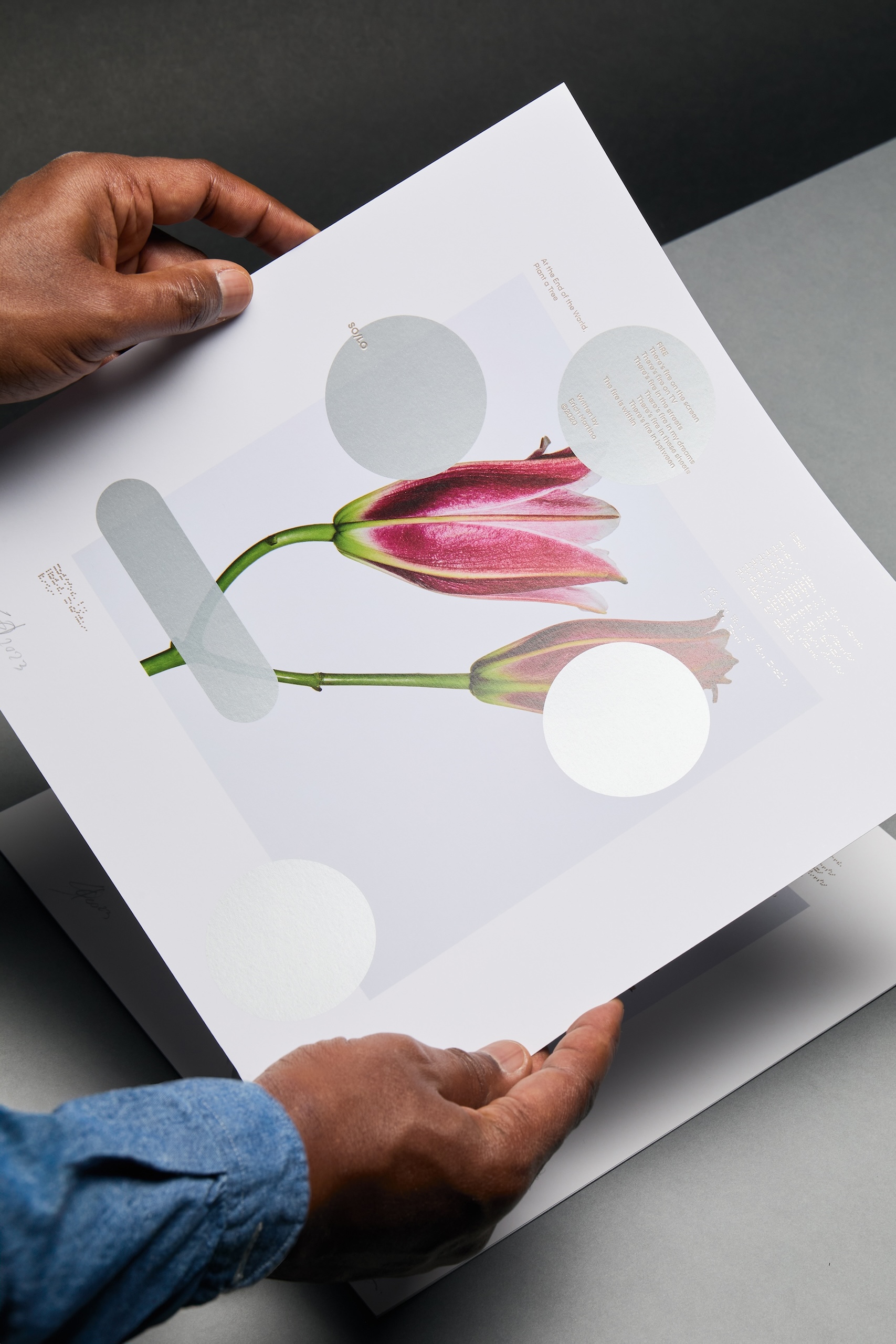 Hugh Miller and Neue Gestaltung win top ISTD prizes - Design Week